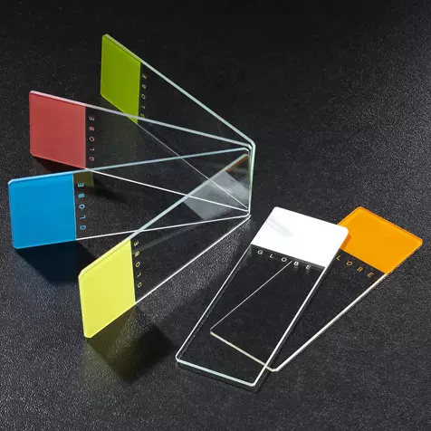 Choosing Digital Microscope Cameras And Microscope Bulbs | Blog