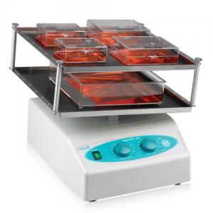 Everlast rocker | Next Day Science