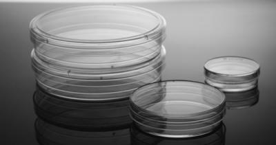 Cell Culture Dishes | Next Day Science