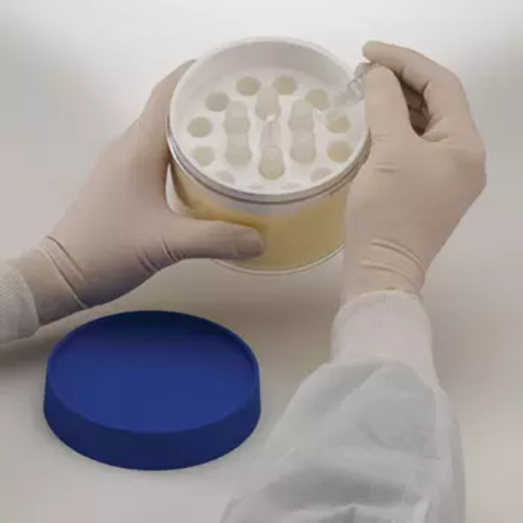 Cryo-Safe | Next Day Science