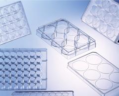 Cell Culture Plates | Tissue Culture