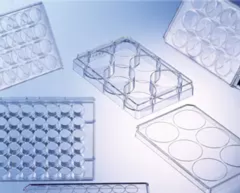 Cell Culture Plates | Tissue Culture